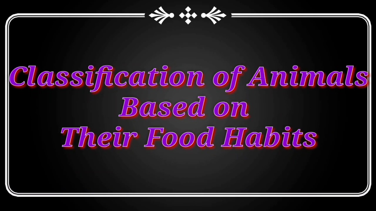 Herbivores, Carnivores and Omnivores | Classification of animals based ...