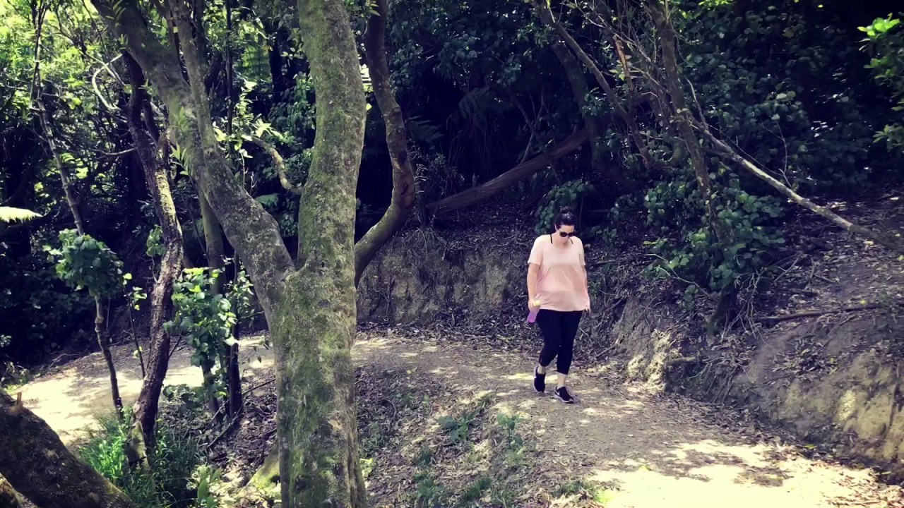 Lower Hutt's New Te Whiti Riser Walking Track - YouTube