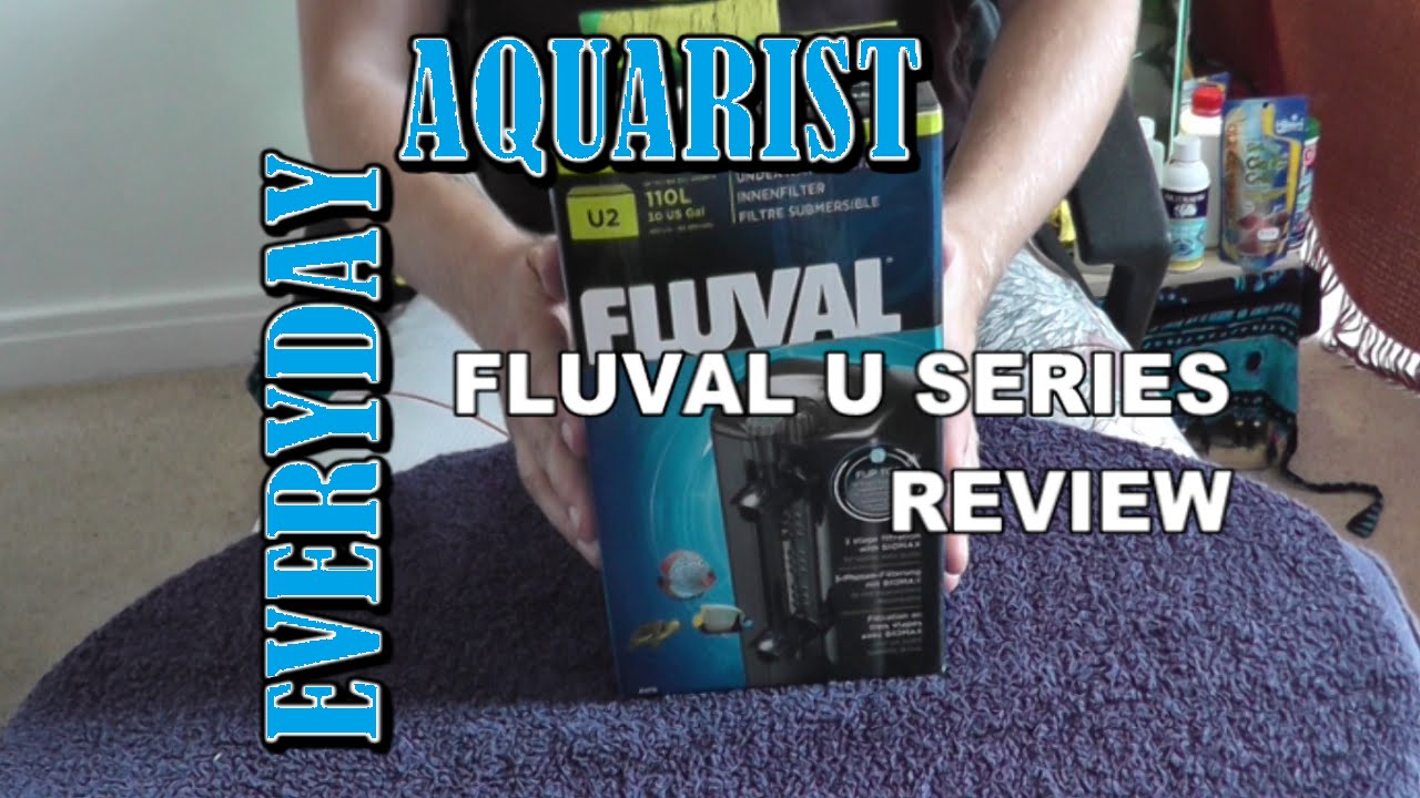 Fluval U series U2, U3, U4 Internal Filter Review - YouTube