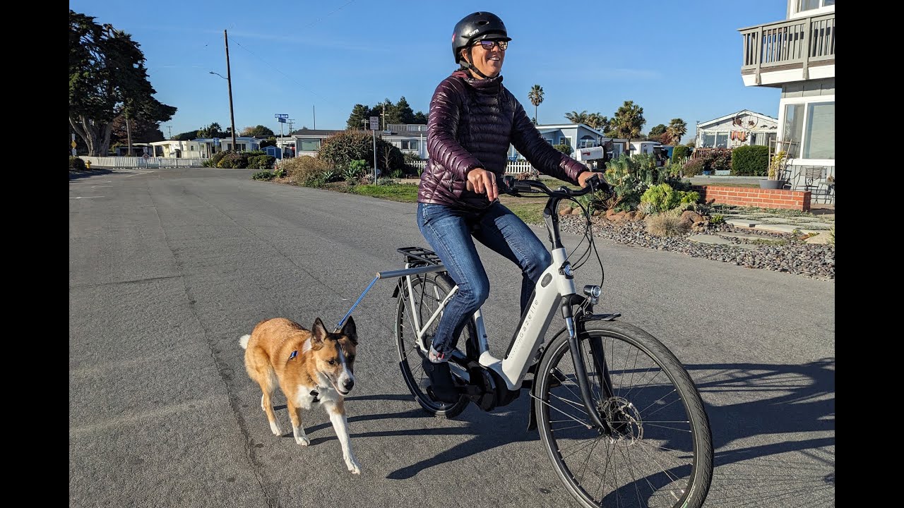 MBB Dog Runner - A safer way to ride with your pup - YouTube
