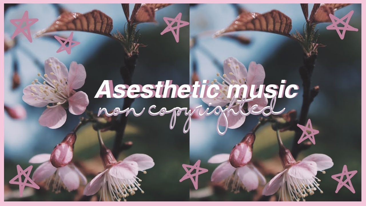 underrated aesthetic background music | NON COPYRIGHTED - YouTube