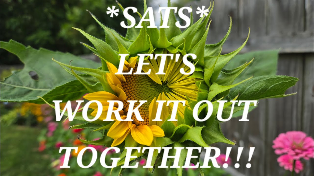 *SATS*... LET'S WORK IT OUT!!! 8-17-24 🇺🇲 LILLEYBUGGLANE 🇺🇲 - YouTube
