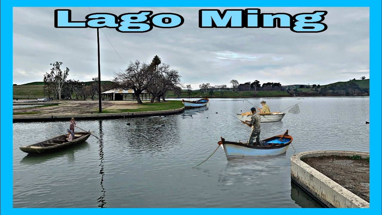 Explorando el lago Ming de bakersfield California #lago #lagoming #lake ...