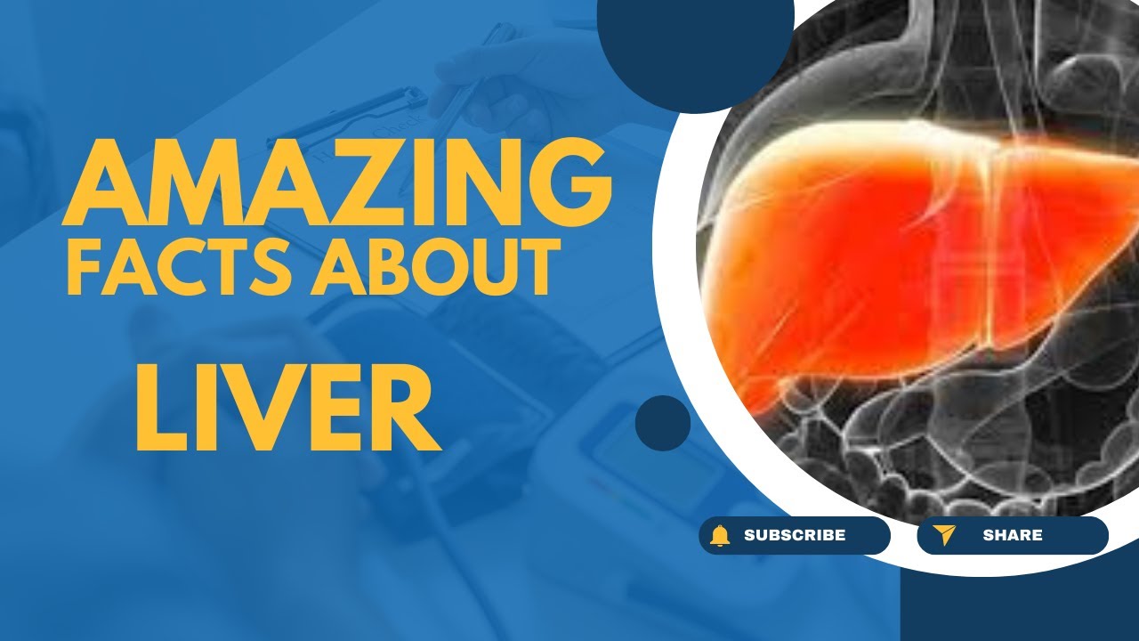Amazing facts about Liver #liver #health #medical - YouTube