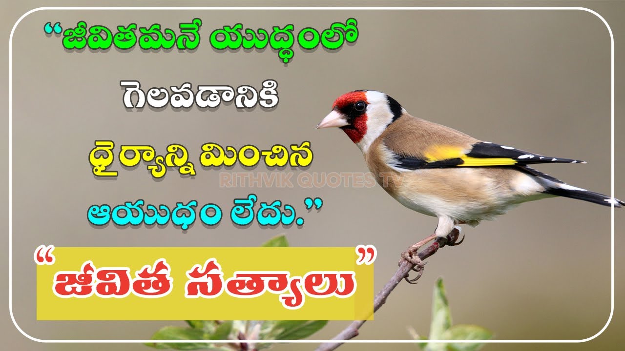 Jeevitha Sathyalu #04 | Manchi Maatalu | Inspiring Quotes | Life Quotes ...