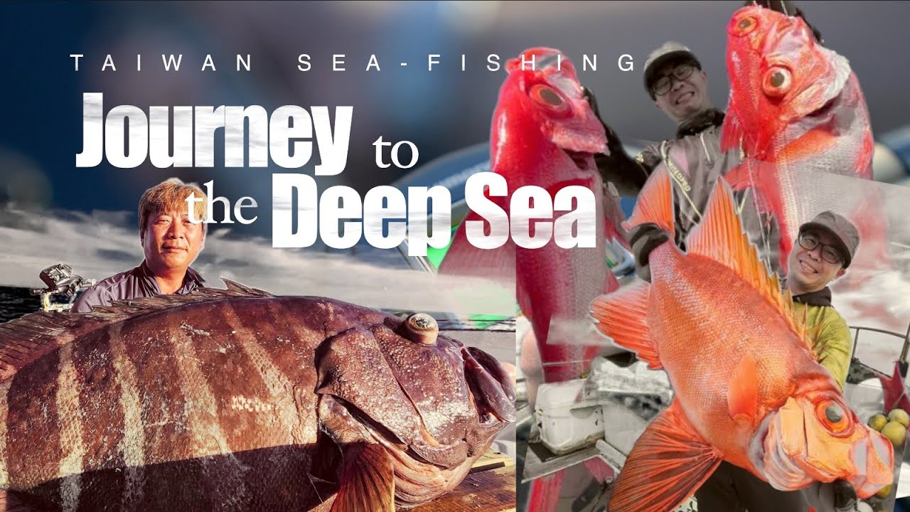 TAIWAN DEEP SEA FISHING - GROUPER / RUBY /RED EYE 臺灣深海雞仔瀨 - 紅皮刀/ 石斑 / 紅 ...