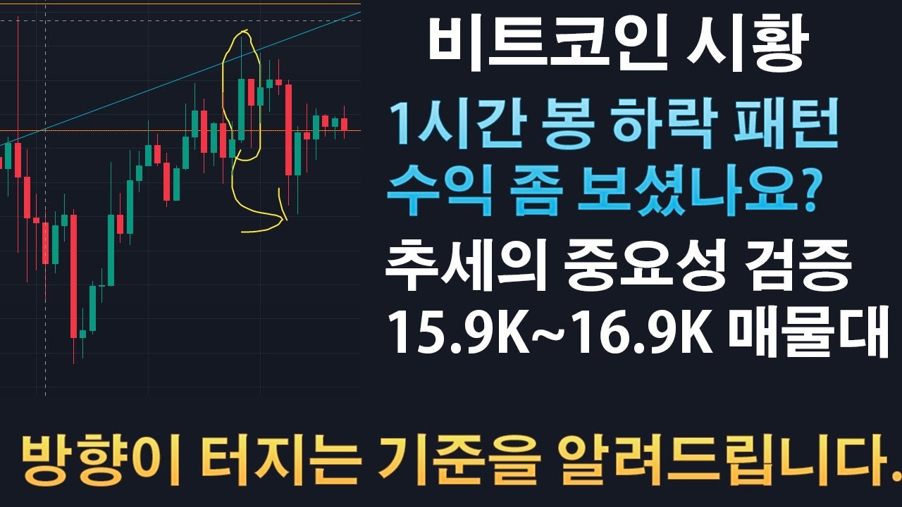 비트코인 15.9K~16.9K 매물대 그리고 추세의 중요성(방향이 터지는 구간을 잡아드립니다) - YouTube