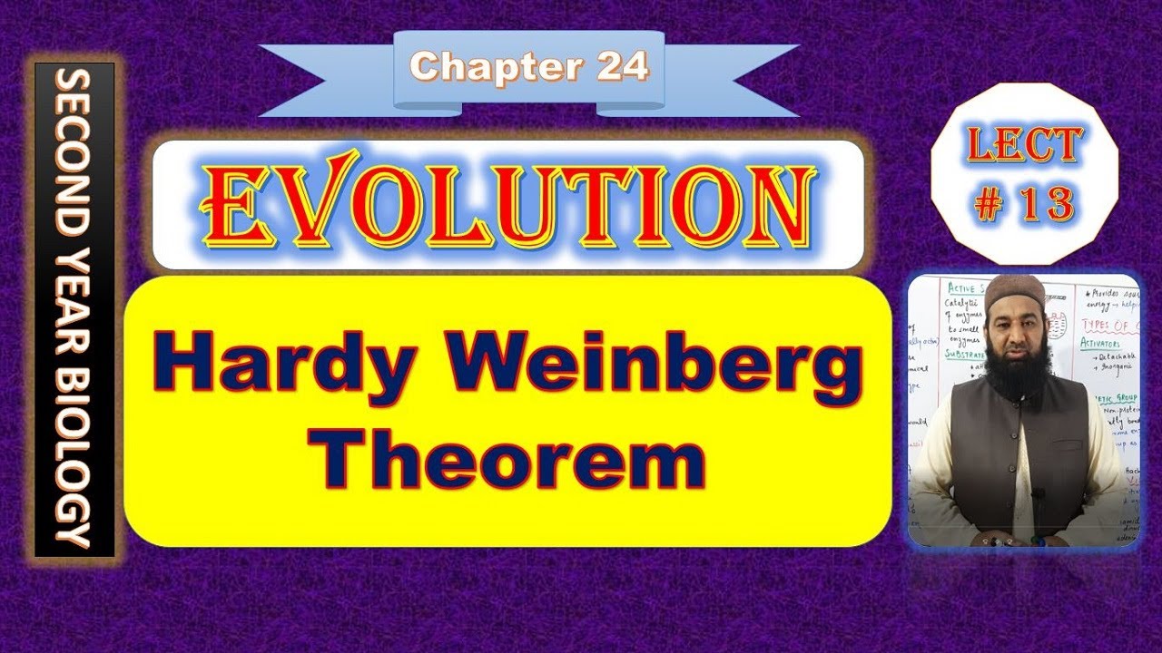 Biology Chapter 24 Evolution lecture No.13 hardy Weinberg theorem - YouTube