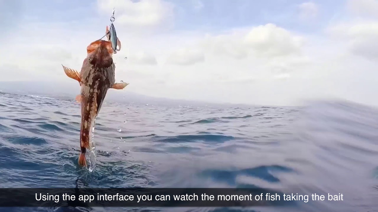 Fish Finder, Fishing Mode and VR Mode - PowerRay Tutorial - YouTube