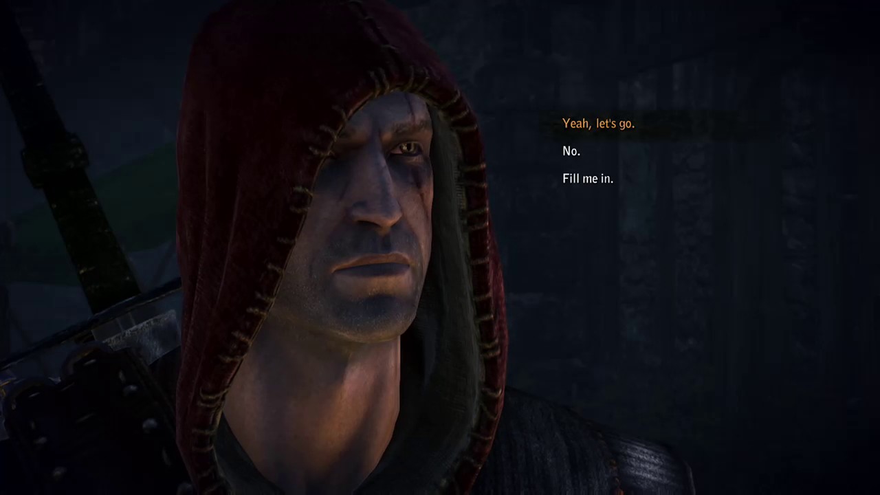 The Witcher 2: Assassins of Kings Walkthrough Part 21 - Troll Trouble ...