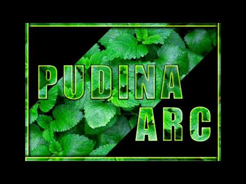 पुदीने का अर्क घर पर कैसे बनाए / How to make pudina ark at home - YouTube