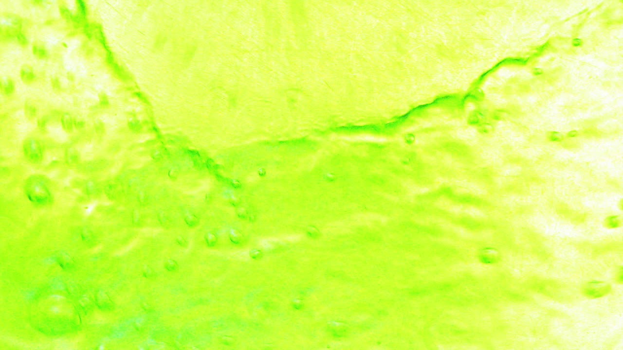 Vega Vision - YouTube
