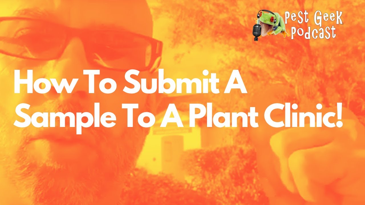 How To Correctly Submit A Plant Sample To The UF/IFAS TREC Plant Diagnostic Clinic In Homestead ...