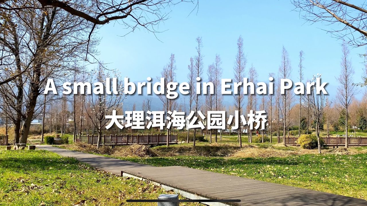 A small bridge in Erhai Park 大理洱海公园小桥4K治愈风景 - YouTube