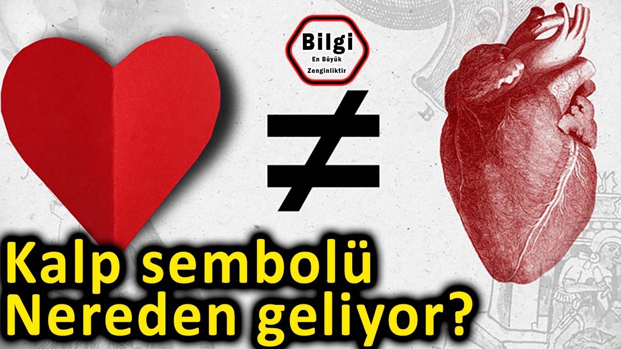 Kısa ve ÖZ | Kalp Sembolü Nasıl Ortaya Çıktı? | Neden Gerçek Kalbe ...