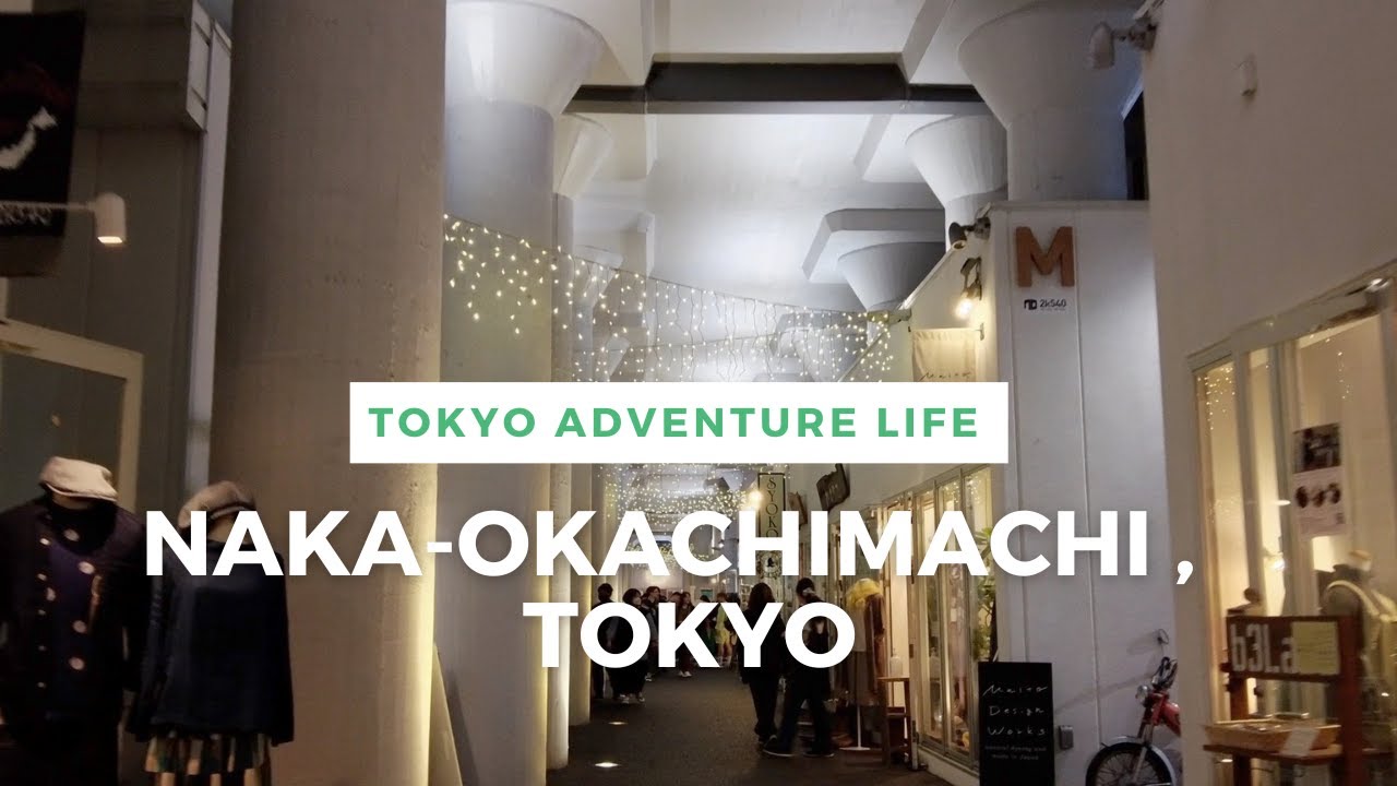 Walking Around Tokyo (Naka-Okachimachi) 仲御徒町 - YouTube