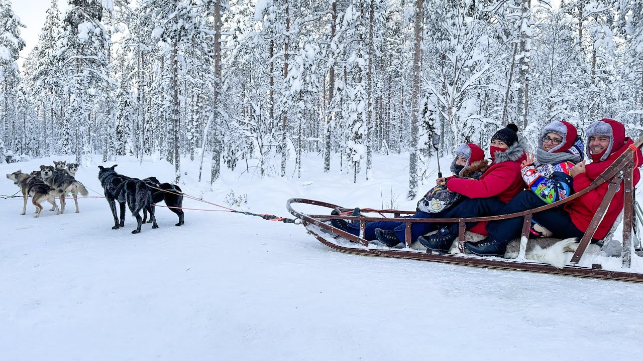 Reindeer and Husky Sleigh Ride/ Lapland/ Christmas 2022 - YouTube