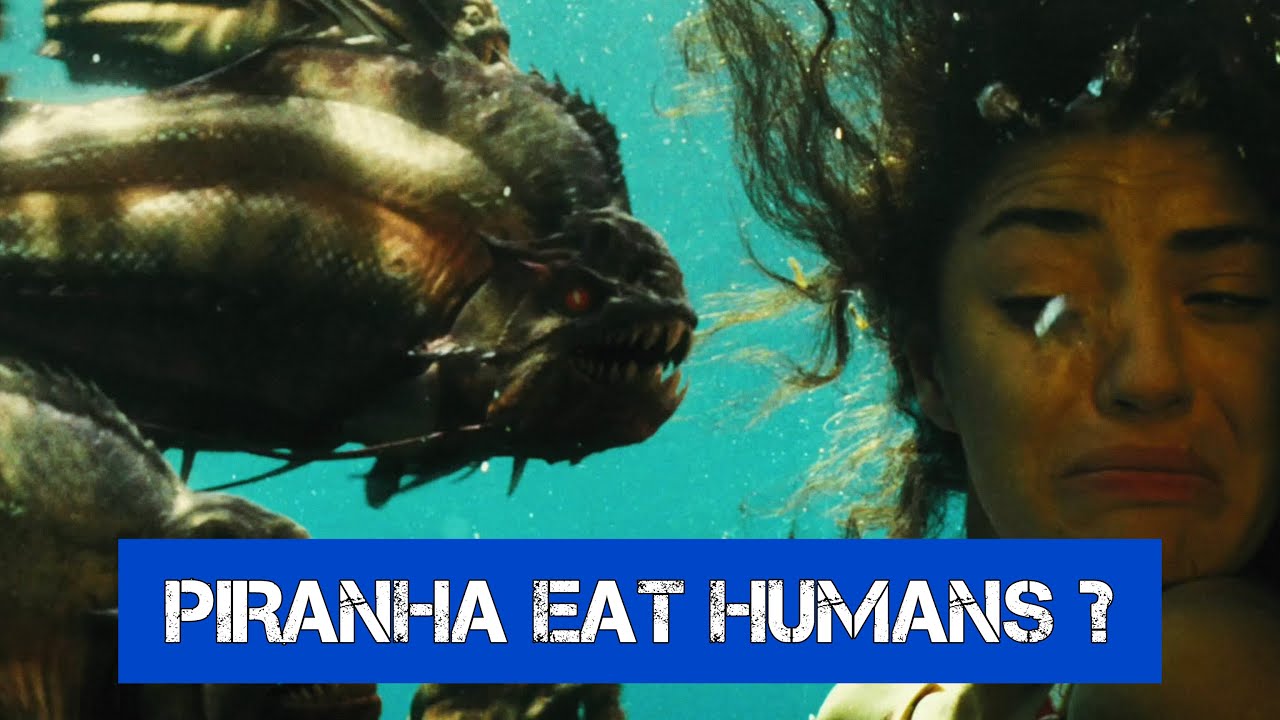 Do Piranhas Actually Attack Humans? - YouTube