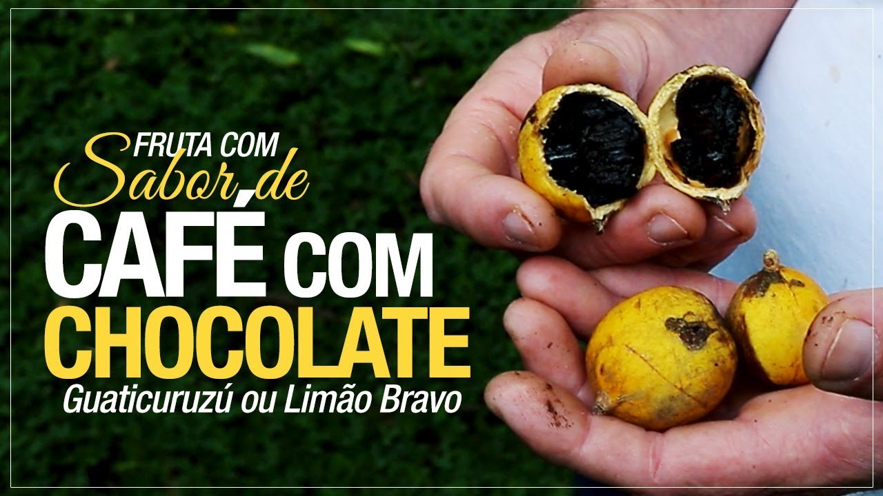 Conheça a Incrível Fruta com sabor de Café com Chocolate! Guaticuruzú ...