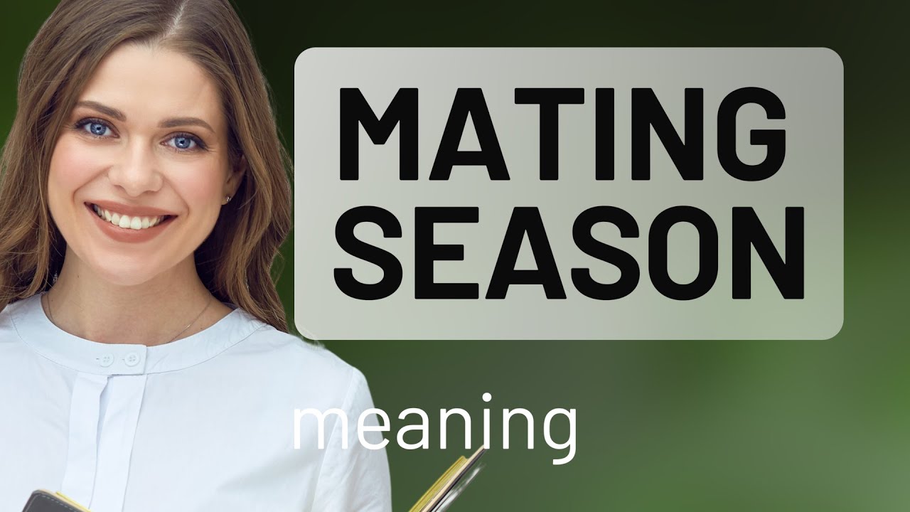 Understanding "Mating Season": A Guide for English Learners - YouTube
