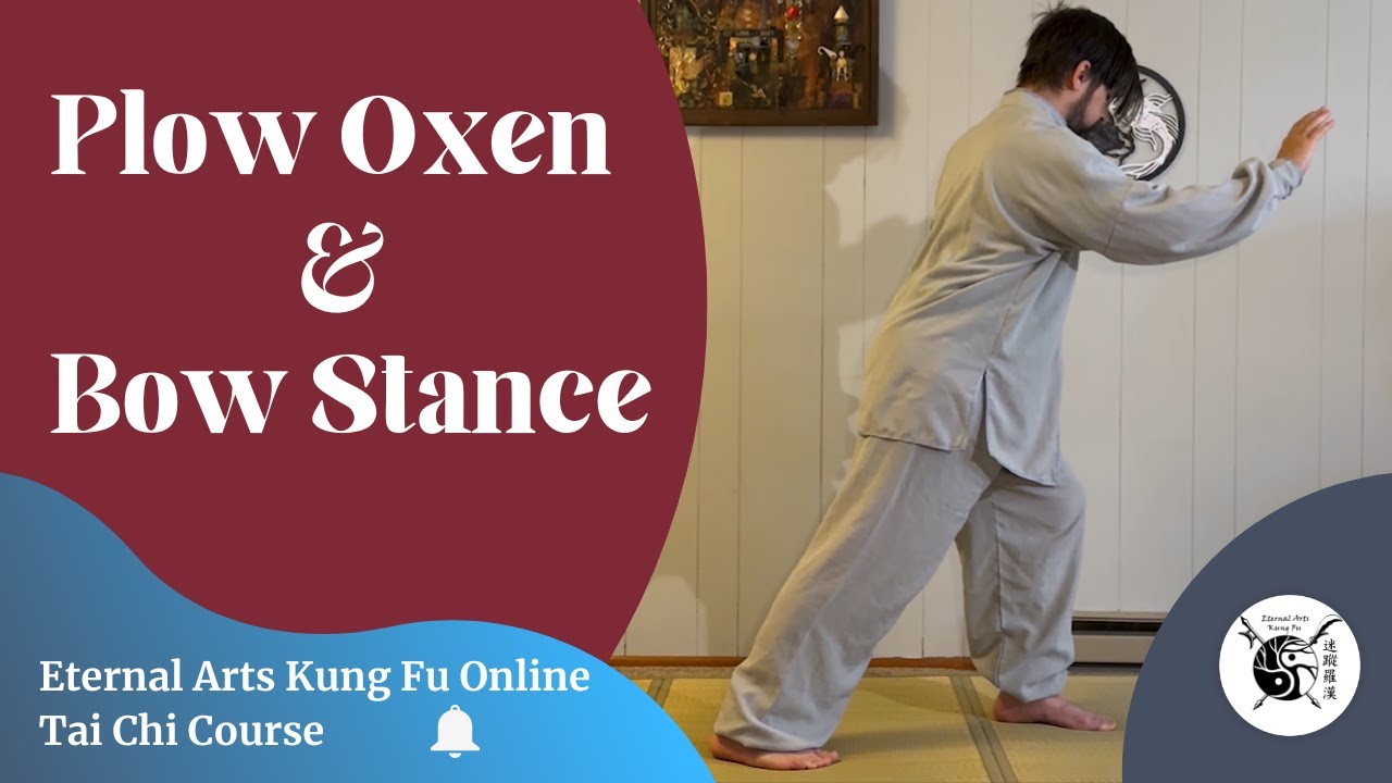 Tai Chi Expert Reveals Plow Oxen (Bow Stance) Secrets for Beginners ...