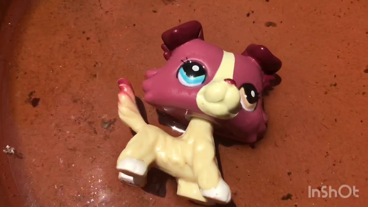 Lps- Survival skills ~(skit)~ - YouTube