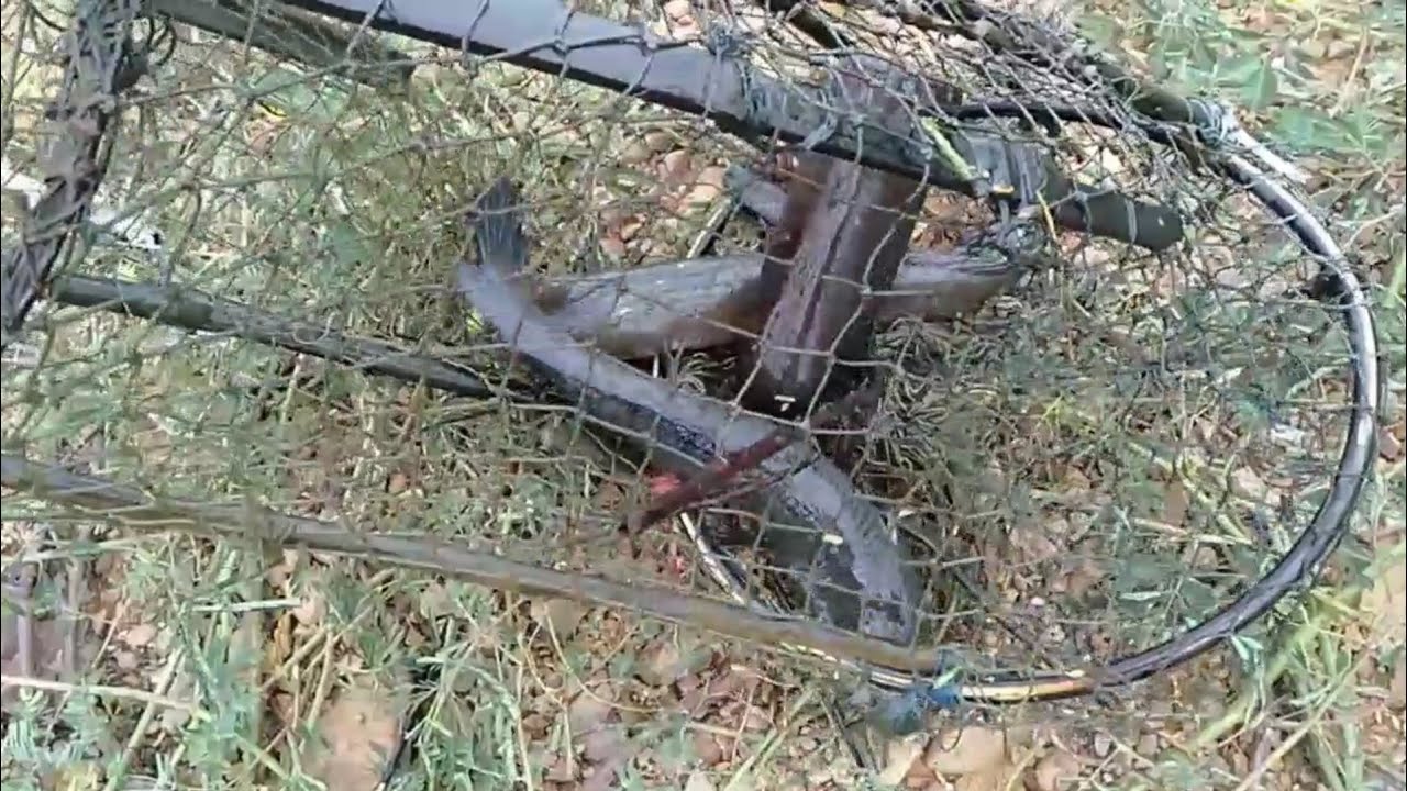 กู้ลอบดักปลา 25 ตุลาคม ค.ศ.2022 snakehead fish trap - YouTube