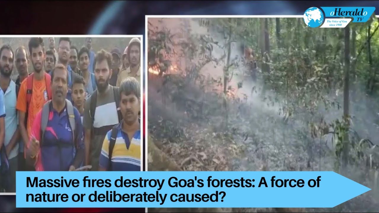 Massive fires destroy Goa's forests: A force of nature or deliberately ...