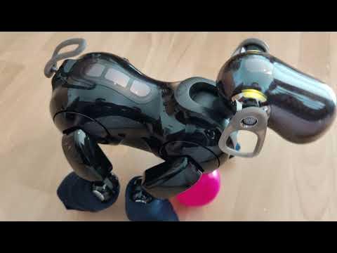 Astro the Aibo ERS-7 - Mind 3 Clinic Mode - All Checks - YouTube