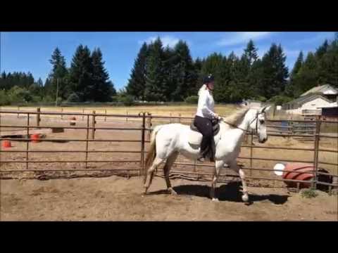 Heidi 06 26 15 1