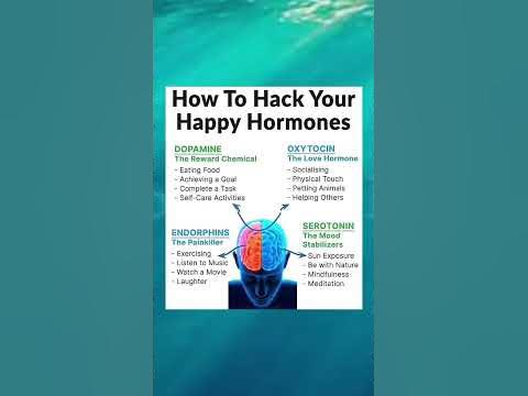 How to hack dopamine, serotonin , oxytocin, endorphins #dopamine # ...
