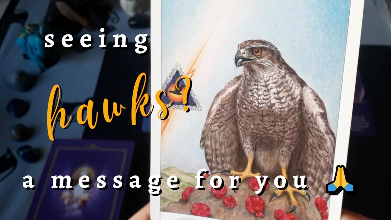 Seeing Hawks? A Message For You... - YouTube