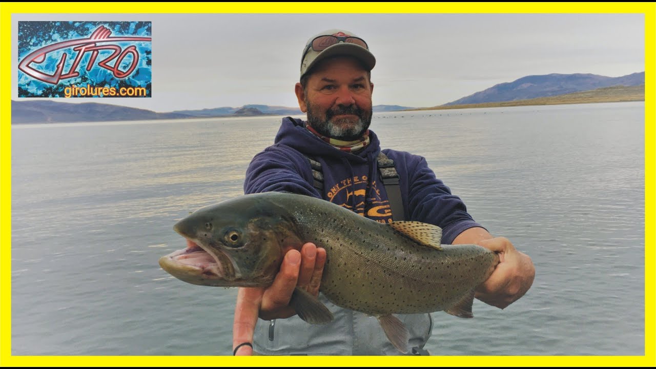CATCH & RELEASE TROPHY #TROUT At PYRAMID LAKE Using Giro Lures - YouTube