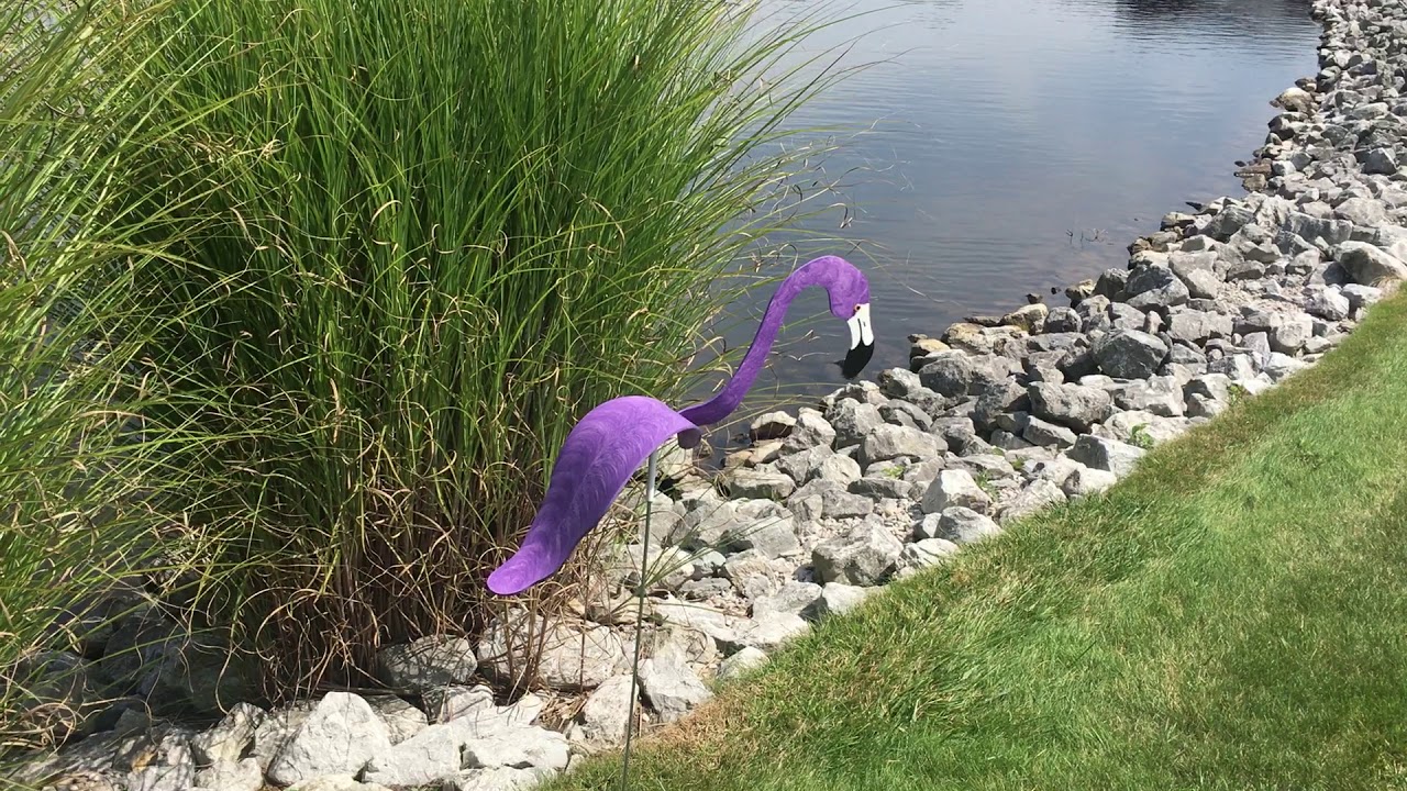 Florida Dancing Birds® Purple Flamingo Garden Art - YouTube