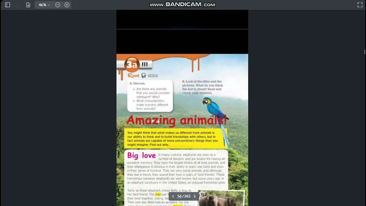 Full blast 9, reading 3a amazing animals p. 66-67 - YouTube