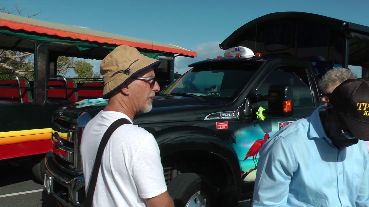 tourists, tour buses (safari taxis) and donkey at Drake's Seat, St ...