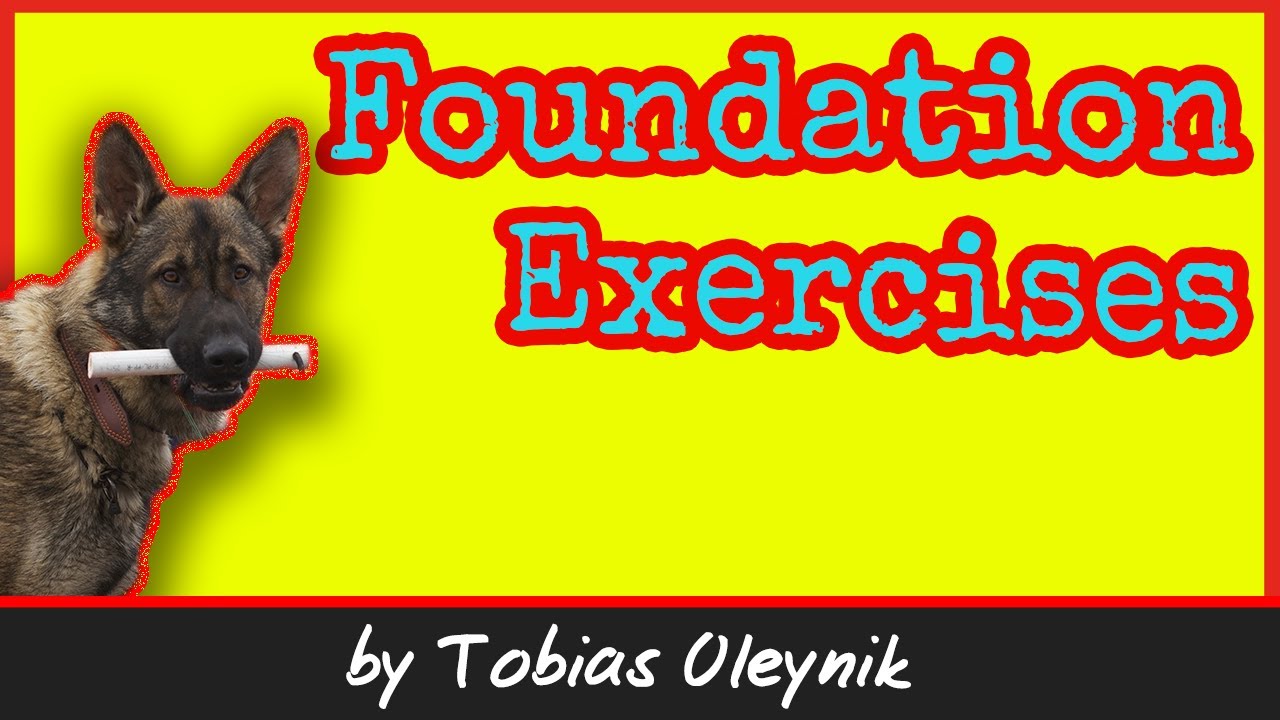Foundation Exercises for IGP (aka. IPO or Schutzhund) Dog Training - by ...