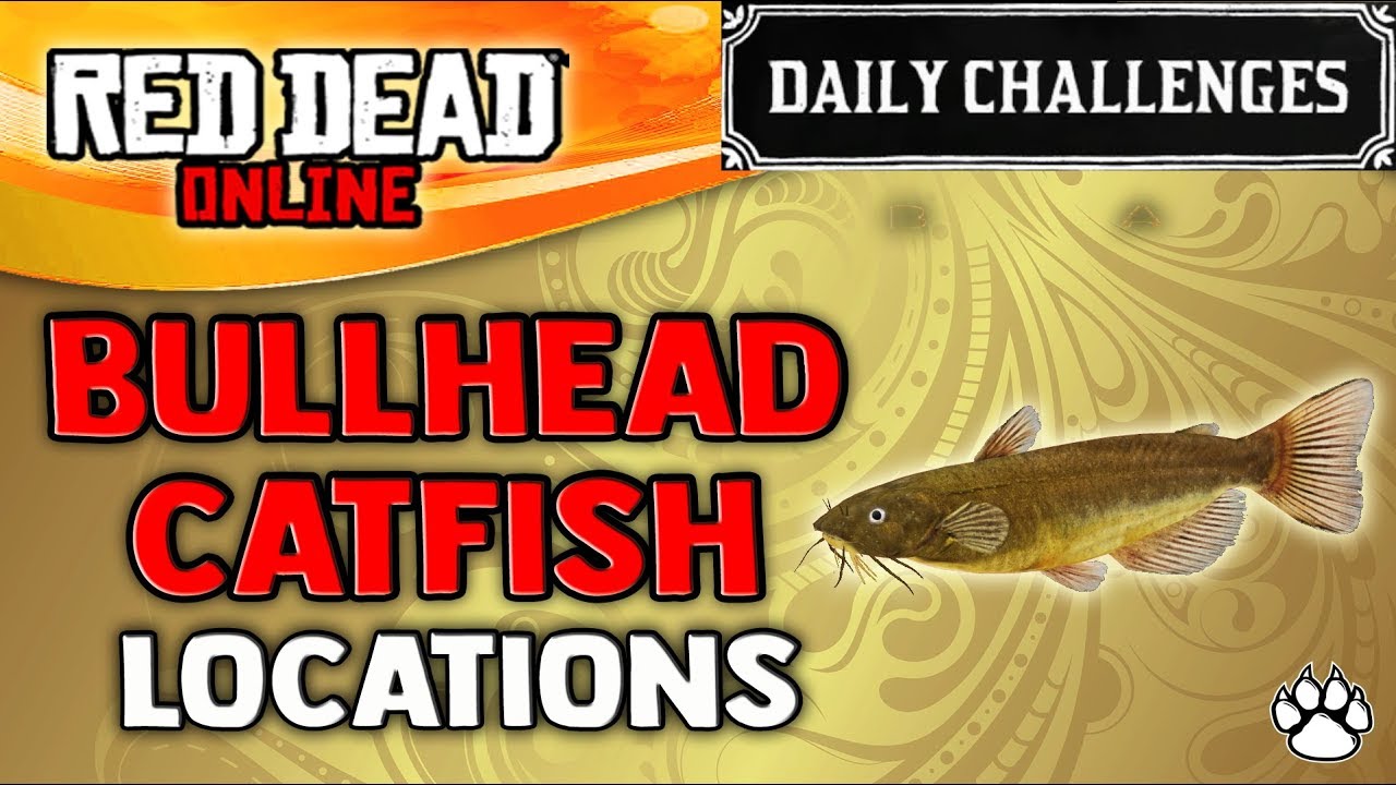 Red Dead Online - Bullhead Catfish Location - Daily Challenge - RDR2 ...