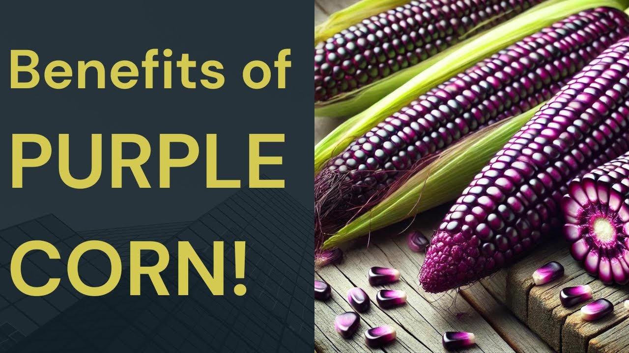 10 Incredible Benefits of PURPLE CORN! - YouTube