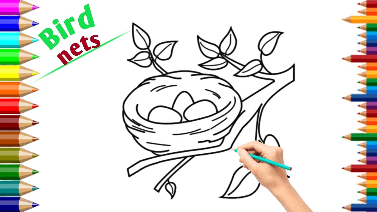 Nest Drawing For Kids