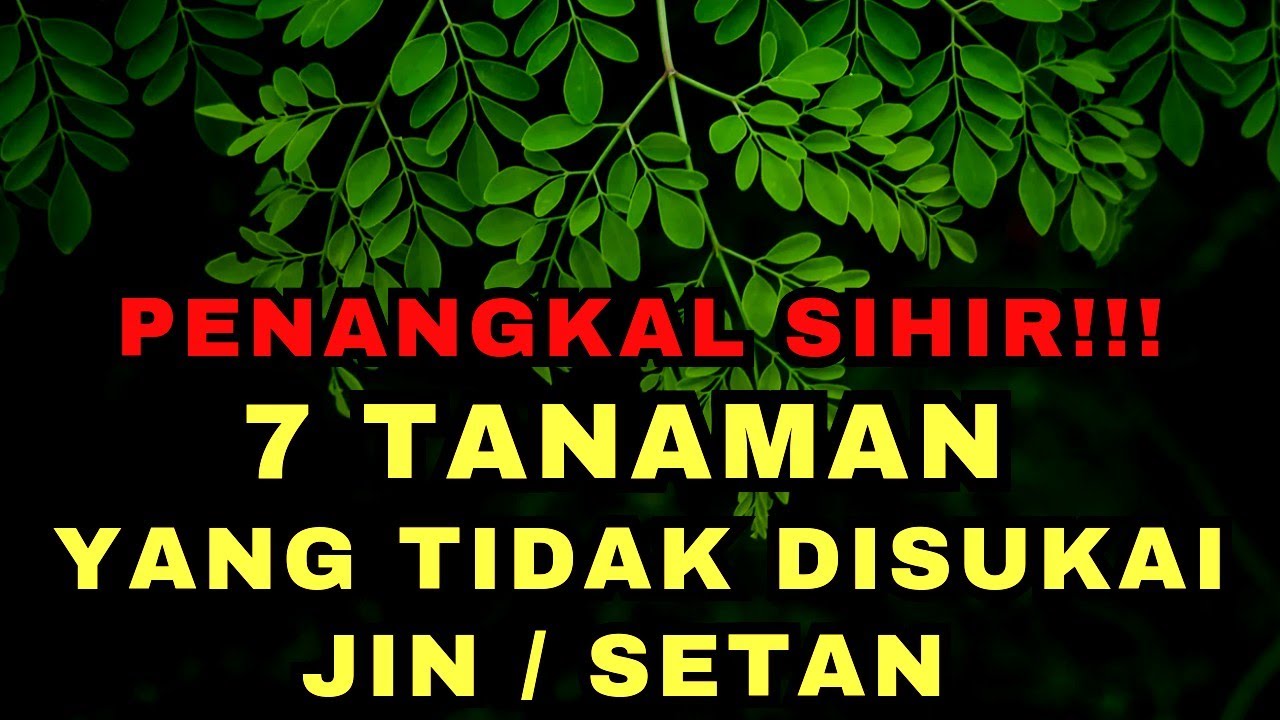 JIN & SETAN LEBUR‼️Tanaman Pengusir Jin dan Setan, Tanaman yang Tidak ...