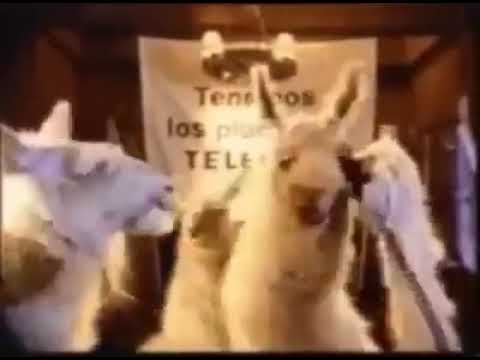 Cabro macabro meme - YouTube