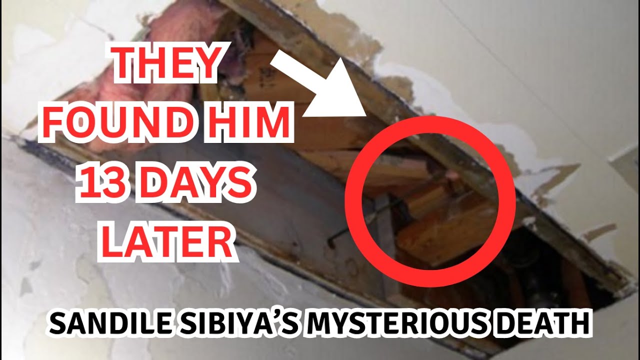 SANDILE SIBIYA (Mini Documentary) - YouTube