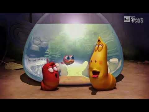 Larva Aquarium - YouTube