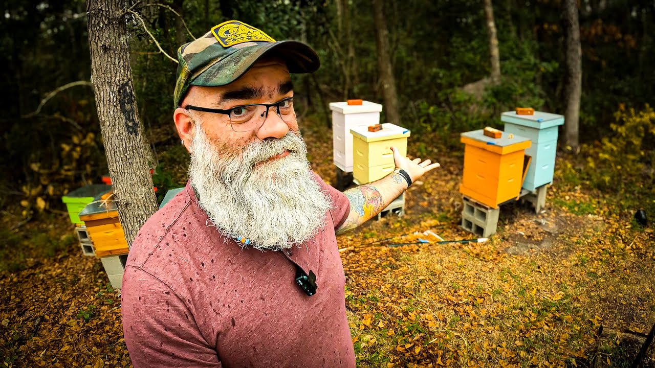 Where to put your first beehive - YouTube