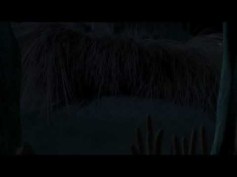 Shrek sneaking but its looped for a minute