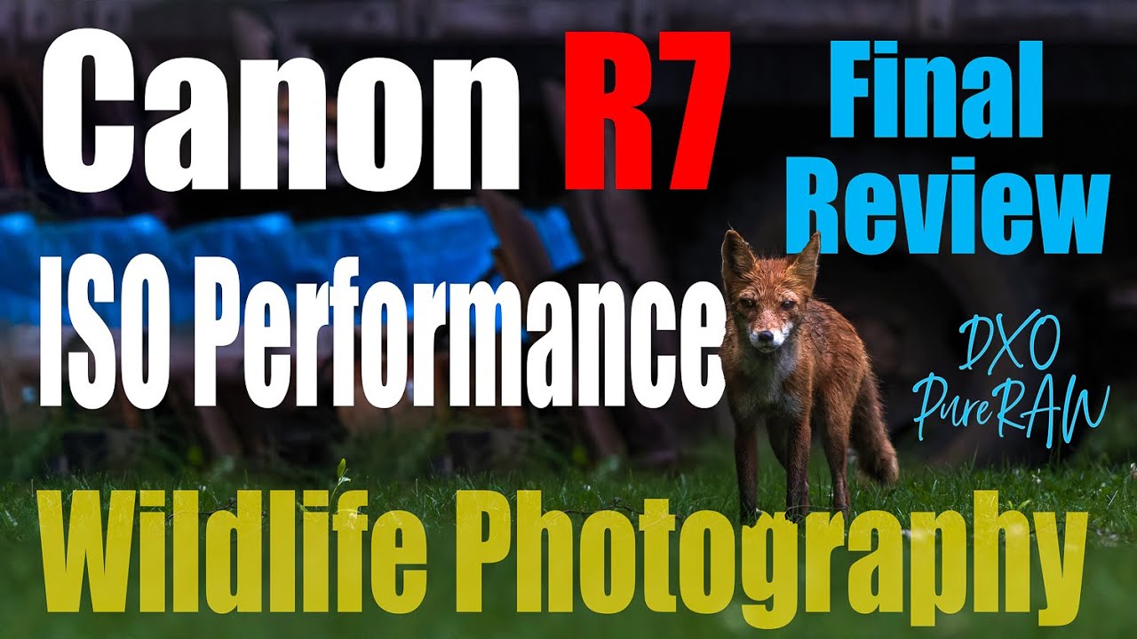 Canon R7 - FINAL REVIEW Low Light | High ISO Performance with DXO ...
