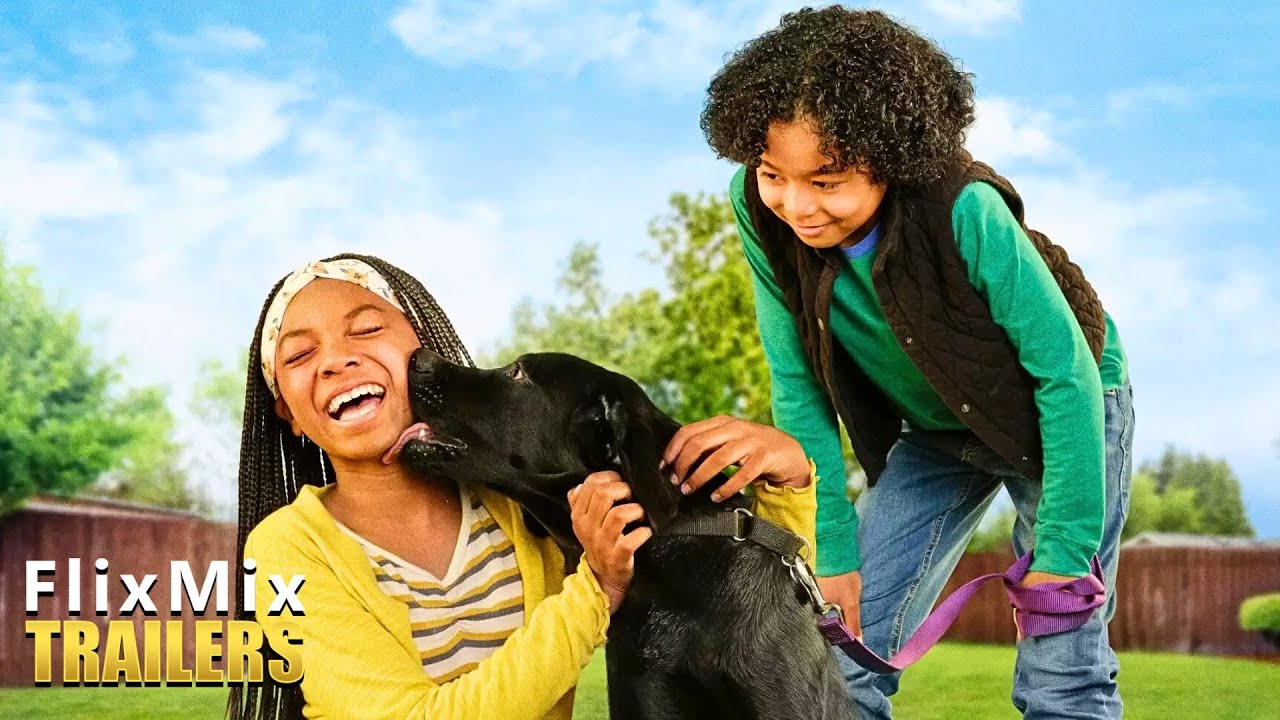 PUPPY PLACE Trailer (2022) Season 2, Declan Whaley - YouTube