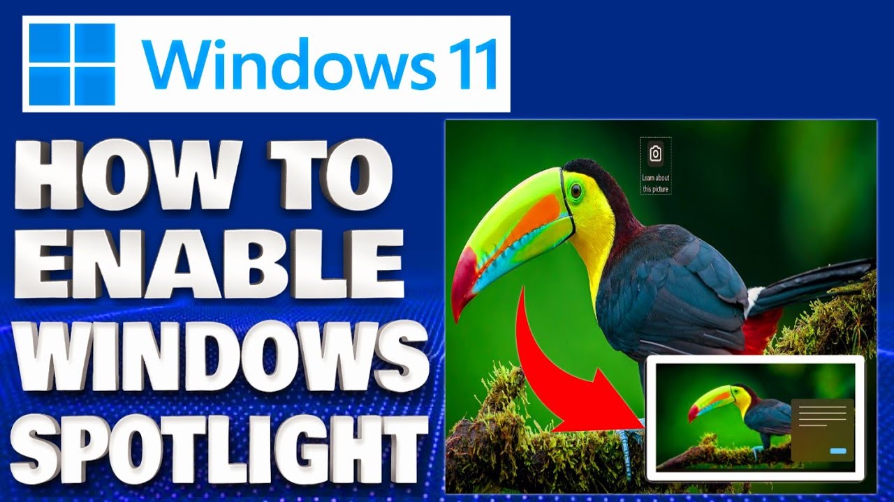 How To Enable Windows Spotlight Wallpaper in Windows 11 | Tips and ...
