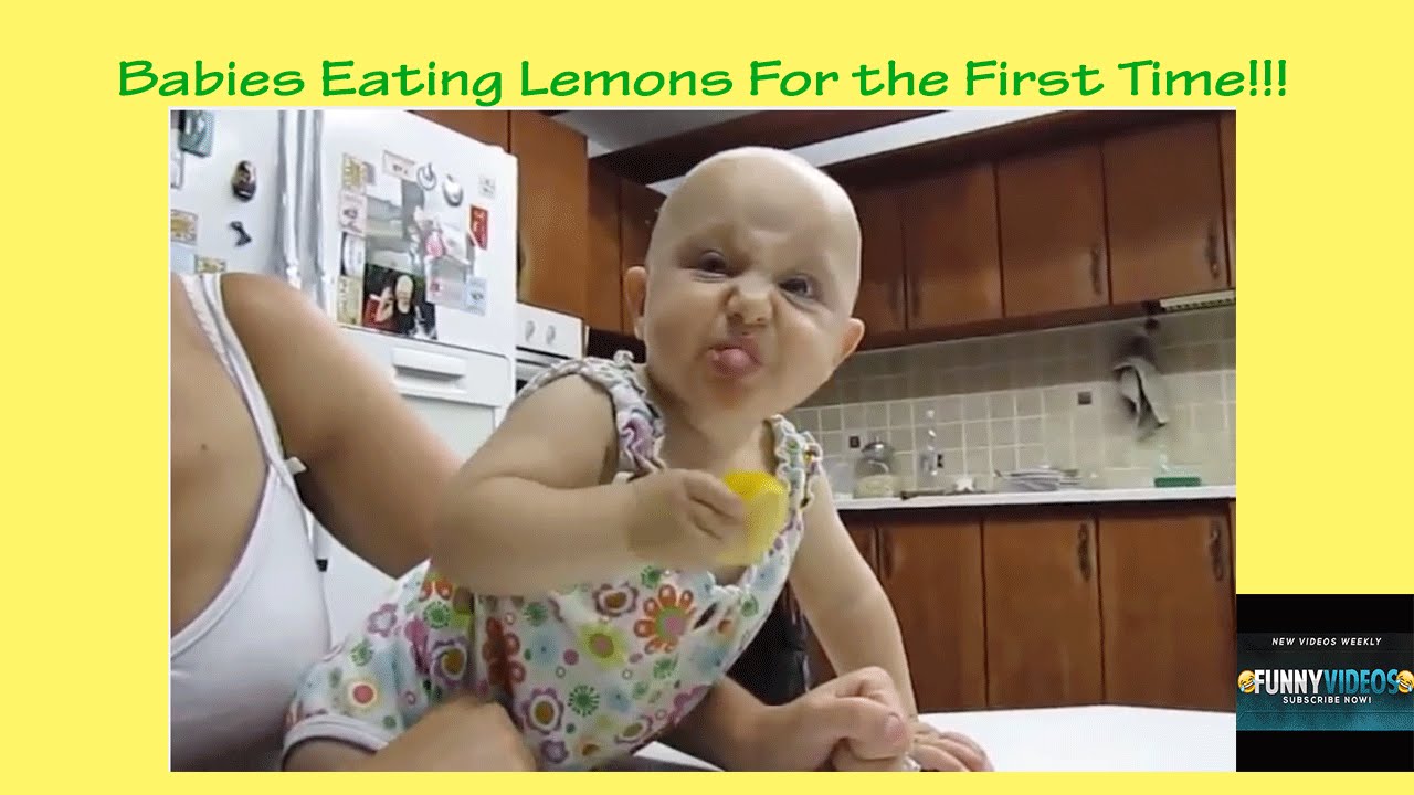 Funny Baby Videos: Babies eating lemons for the first time - YouTube